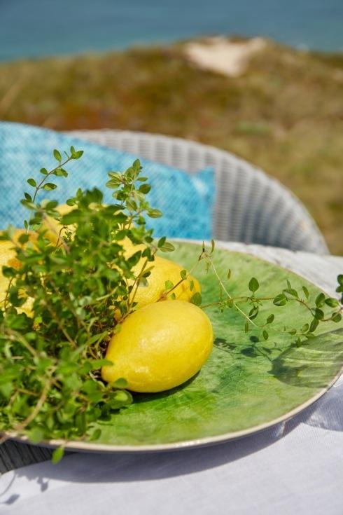 COSTA NOVA Riviera Charger Plate 12" – Artistic Ceramic Serving Platter ...